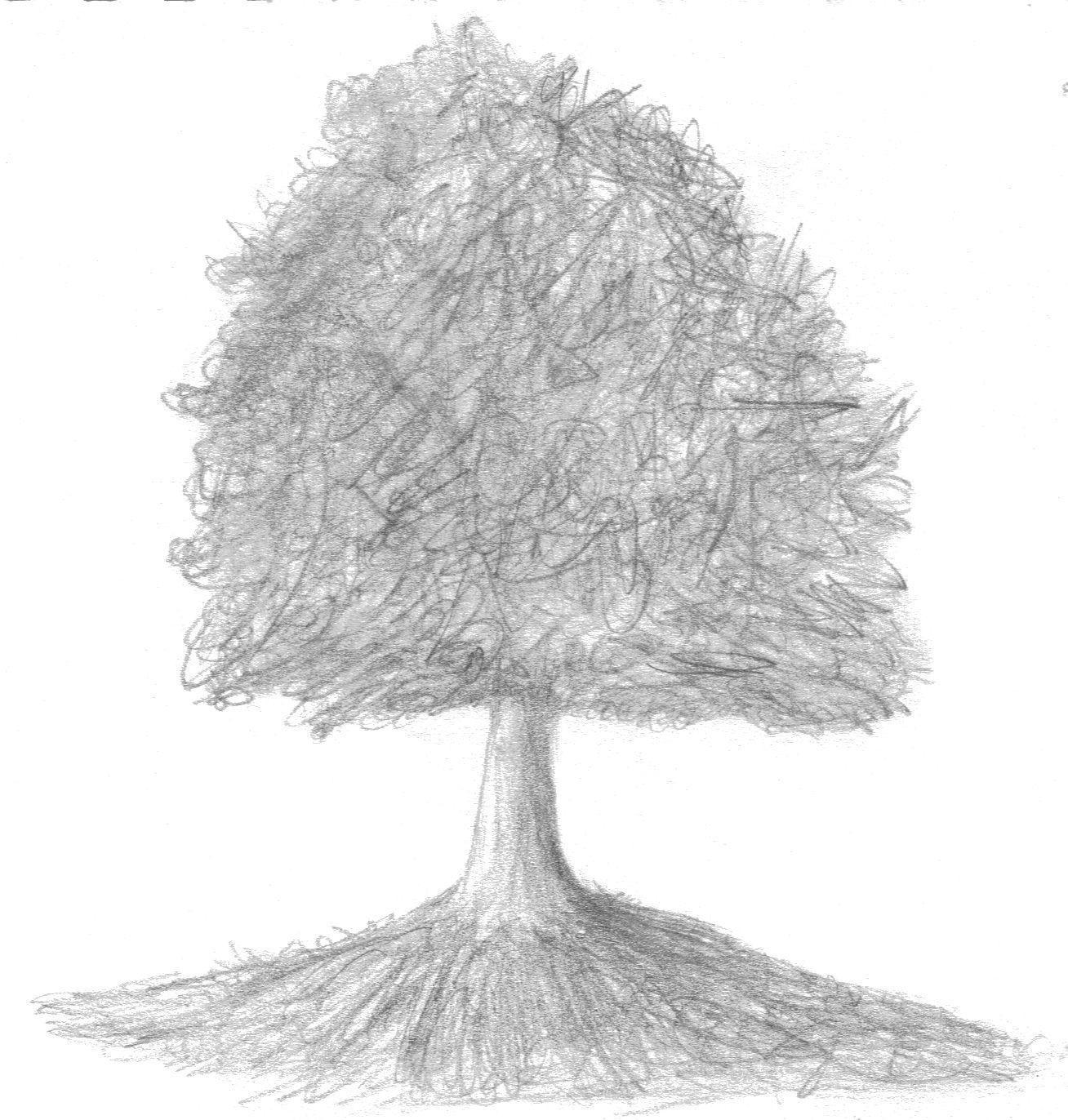Colle (scribbletree) Drawing by poetfaery - DragoArt