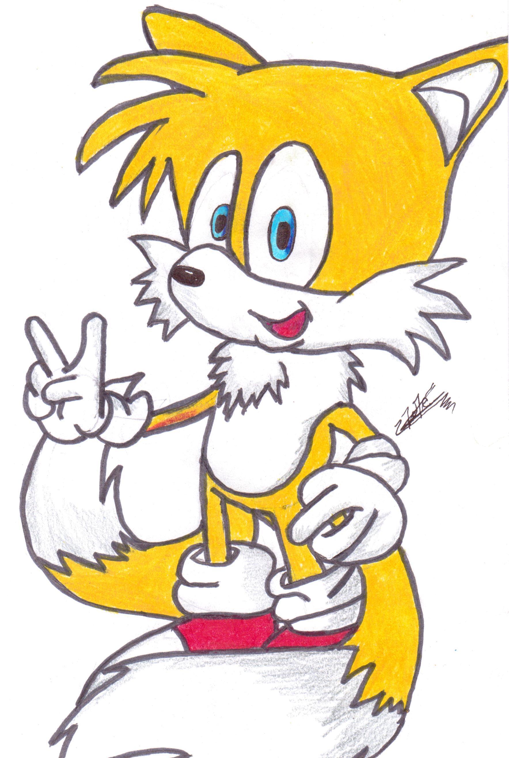 Tails Drawing by KOOPERCAP - DragoArt