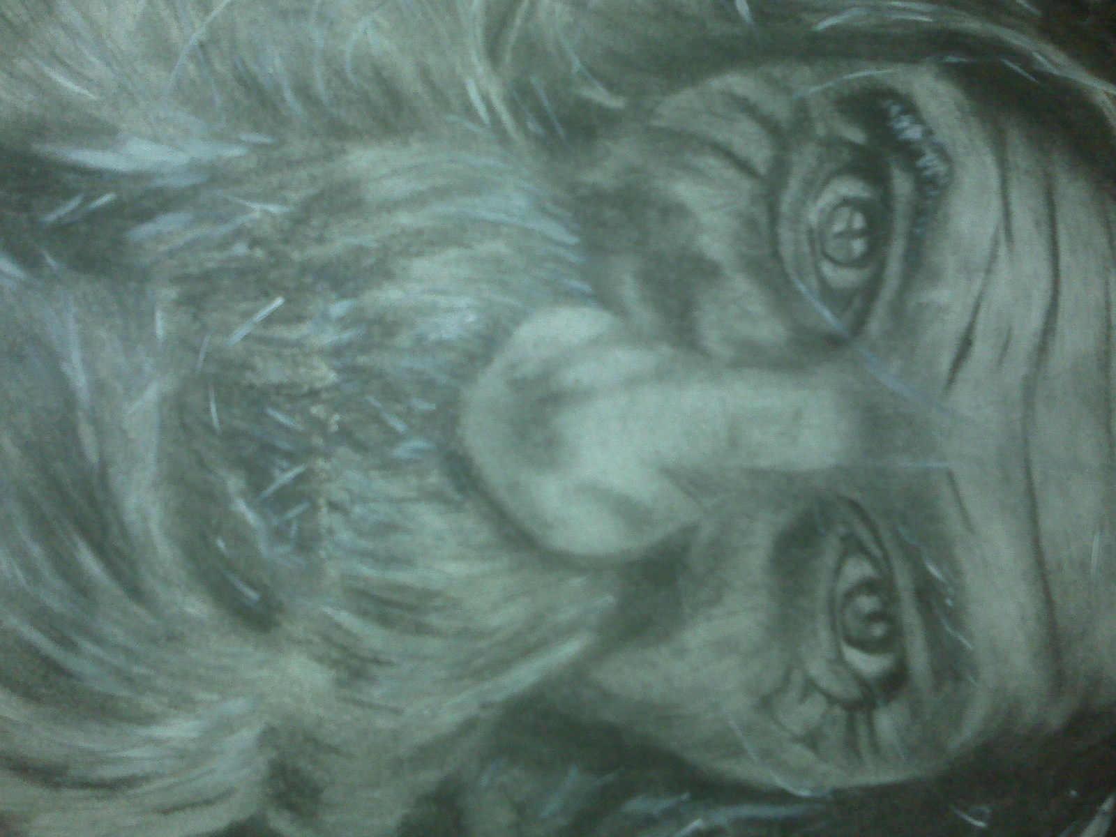 Homeless Man Drawing by jblackburn - DragoArt