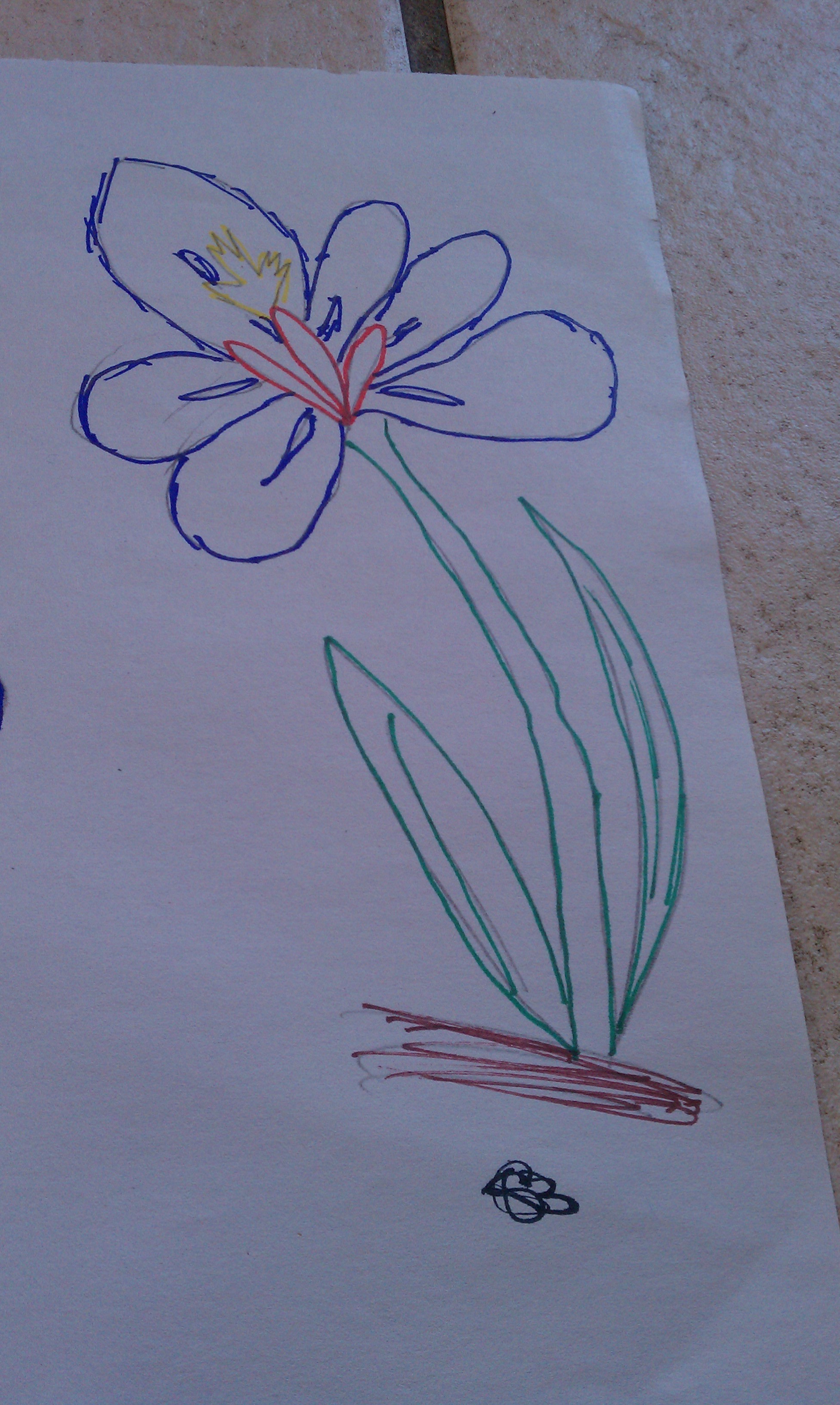 A Flower, Ugly Drawing by HungerGames1 - DragoArt