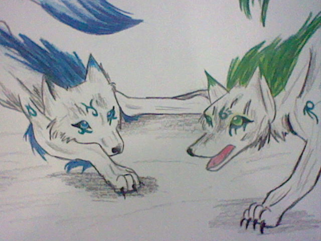 Ice And Earth Wolves Drawing by iceheart - DragoArt