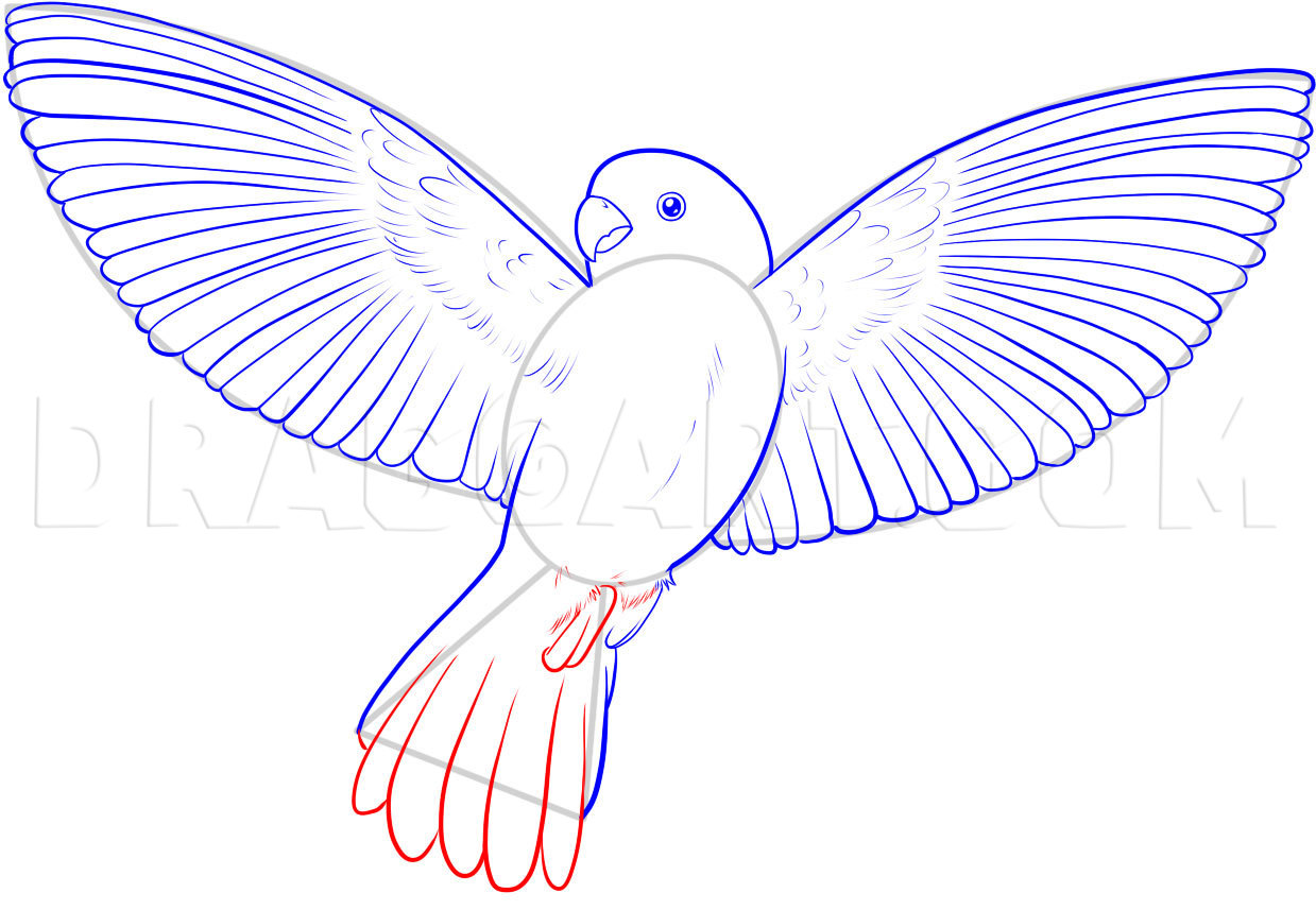 How To Draw A Flying Bird How To Draw A Bird Step By Step Drawing