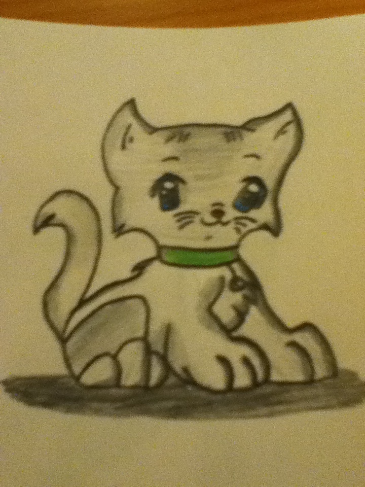 Anime Kitty Cat Drawing by Warriorcatfan - DragoArt