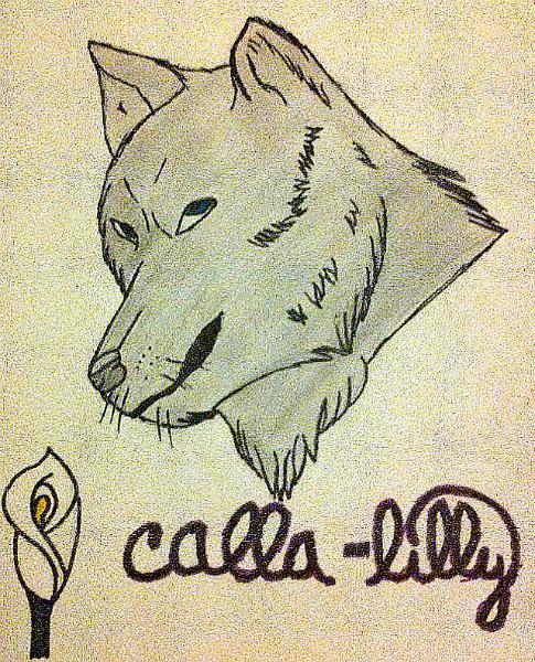 Grey Wolf Head With Flower At The Bottom, Calla Lilly Drawing by ...