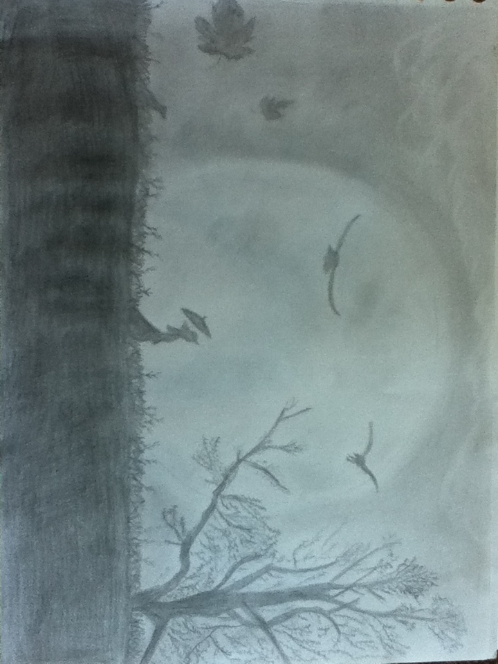 Big Moon On Moors Drawing by SkylerJosie - DragoArt