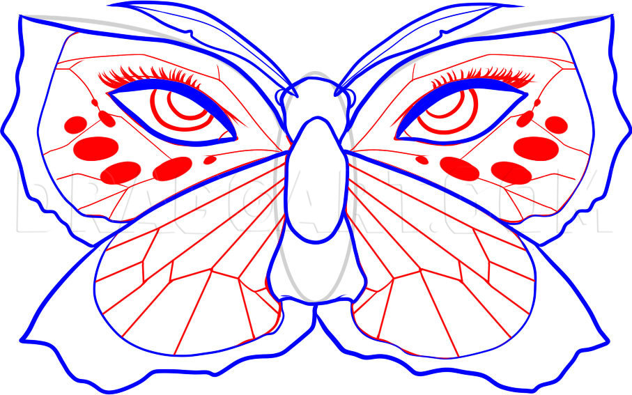 How To Draw A Butterfly Tattoo Step By Step Drawing Guide By Dawn
