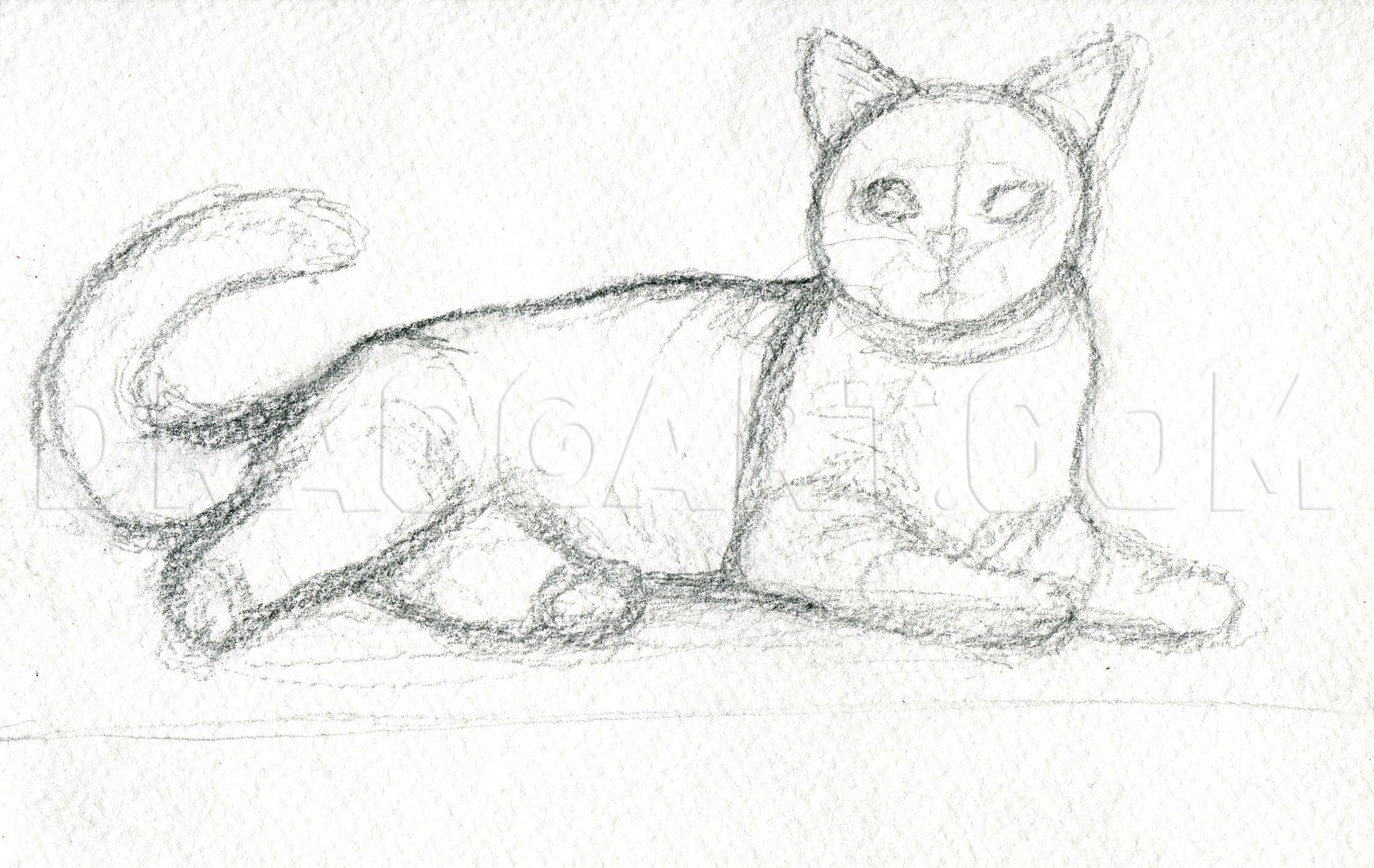 How To Draw Realistic Cats Draw Real Cats Step By Step Drawing Guide By Finalprodigy DragoArt
