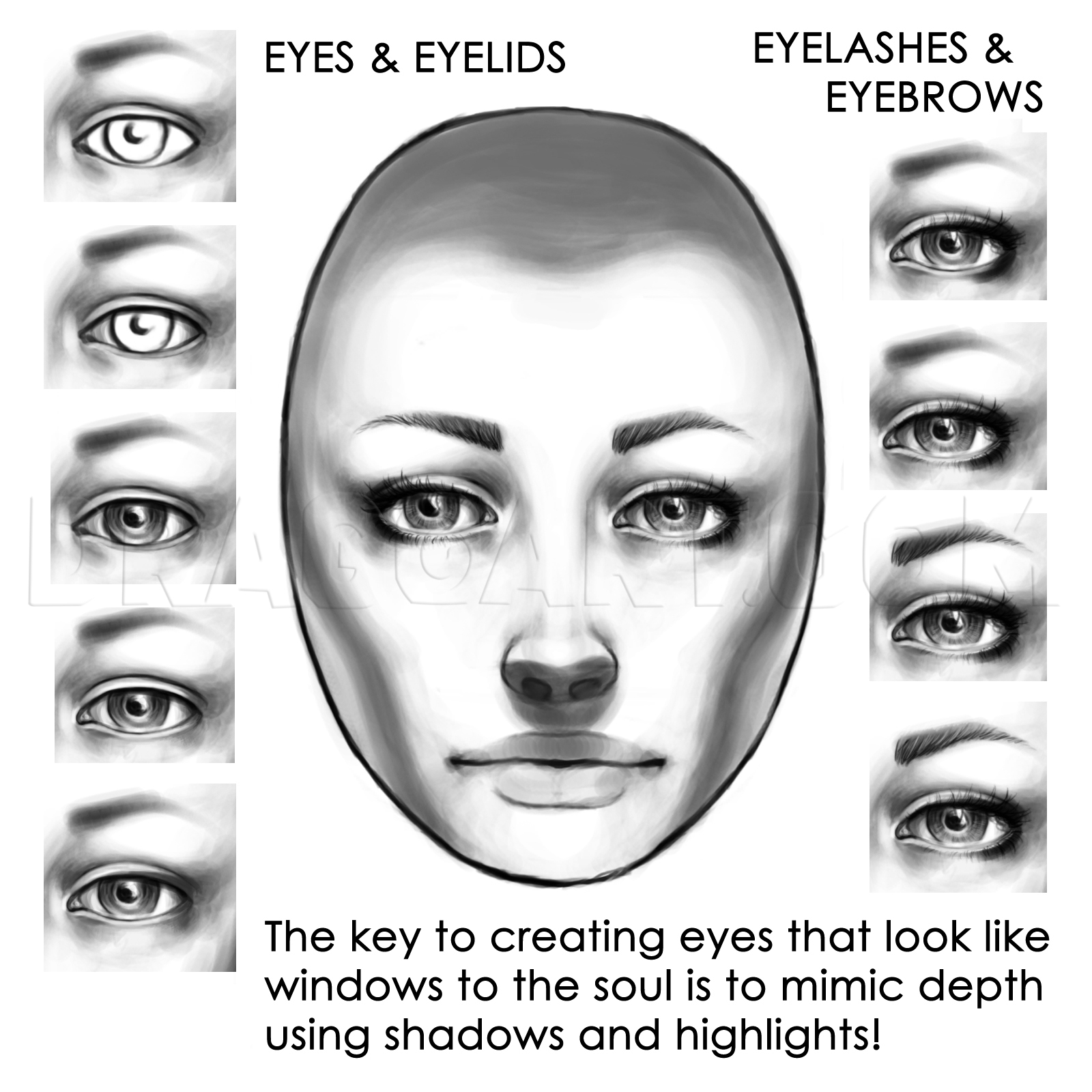 How To Draw Real Faces Draw Faces Step By Step Drawing Guide By Catherinelennon DragoArt