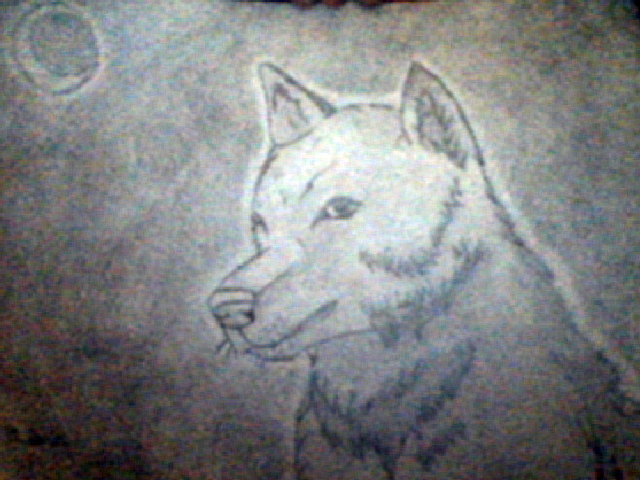 Wolf Dog With Background Drawing by GreyNyan - DragoArt