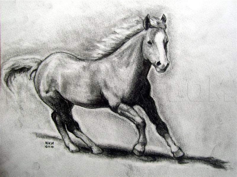 How To Draw A Realistic Horse Draw Real Horse Step By Step Drawing Guide By Finalprodigy 