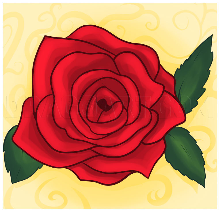 Draw Rose Petals Step By Step Drawing Guide By Dawn DragoArt