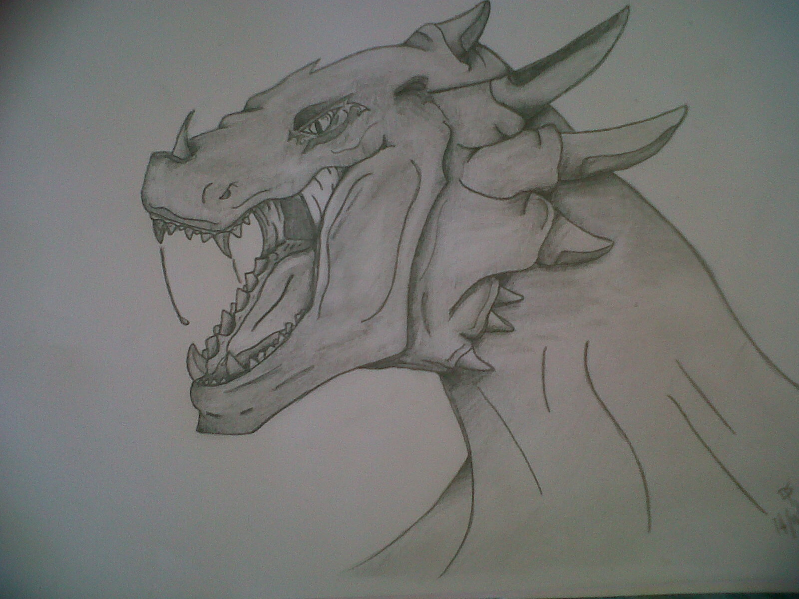 Shaded Dragon Head Drawing by Dylan1014 - DragoArt