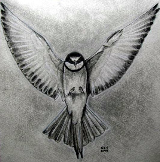 How To Draw A Realistic Bird Draw Real Bird Step By Step Drawing Guide By Finalprodigy 