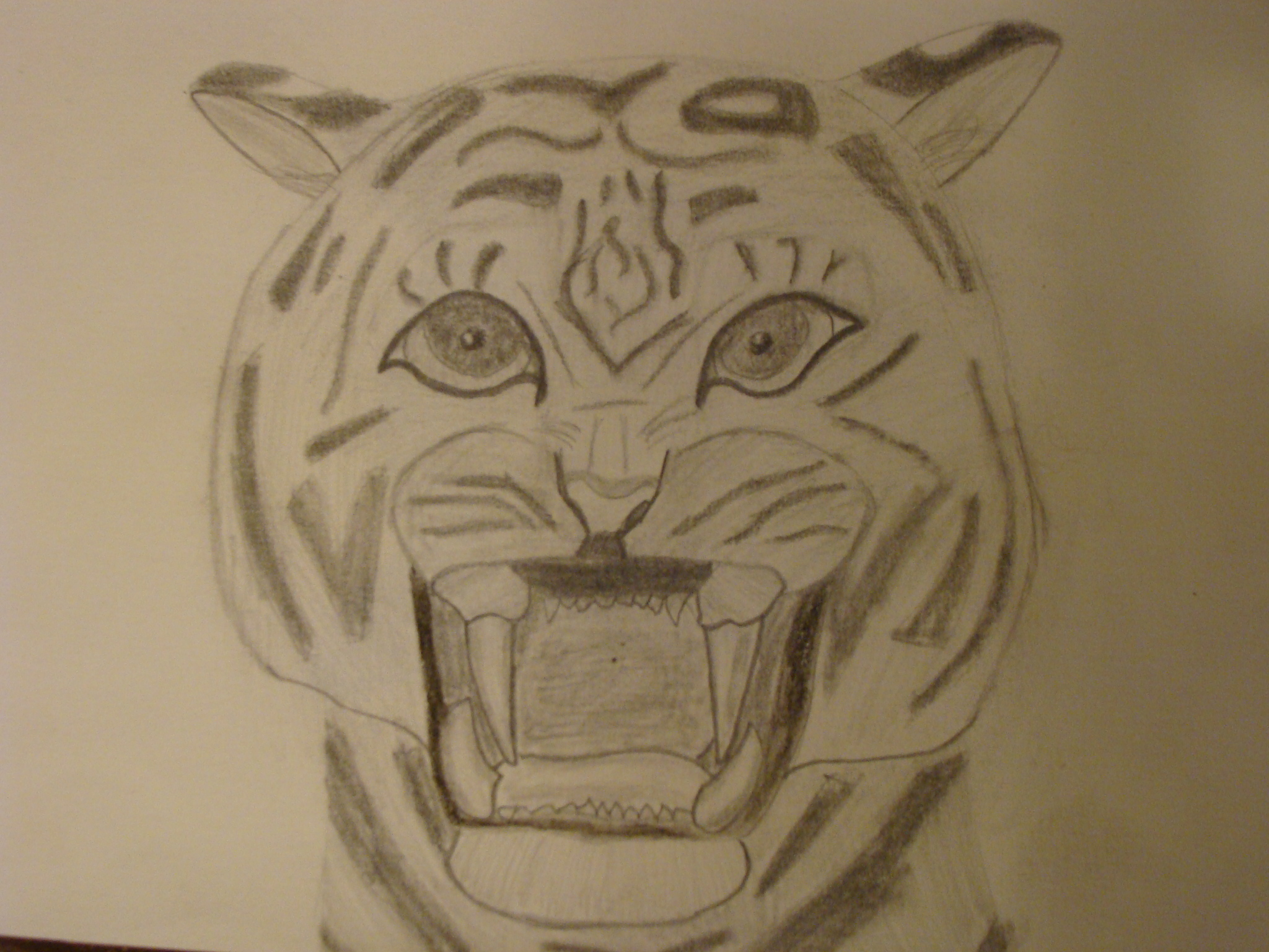 Tiger Drawing by AreenErya - DragoArt