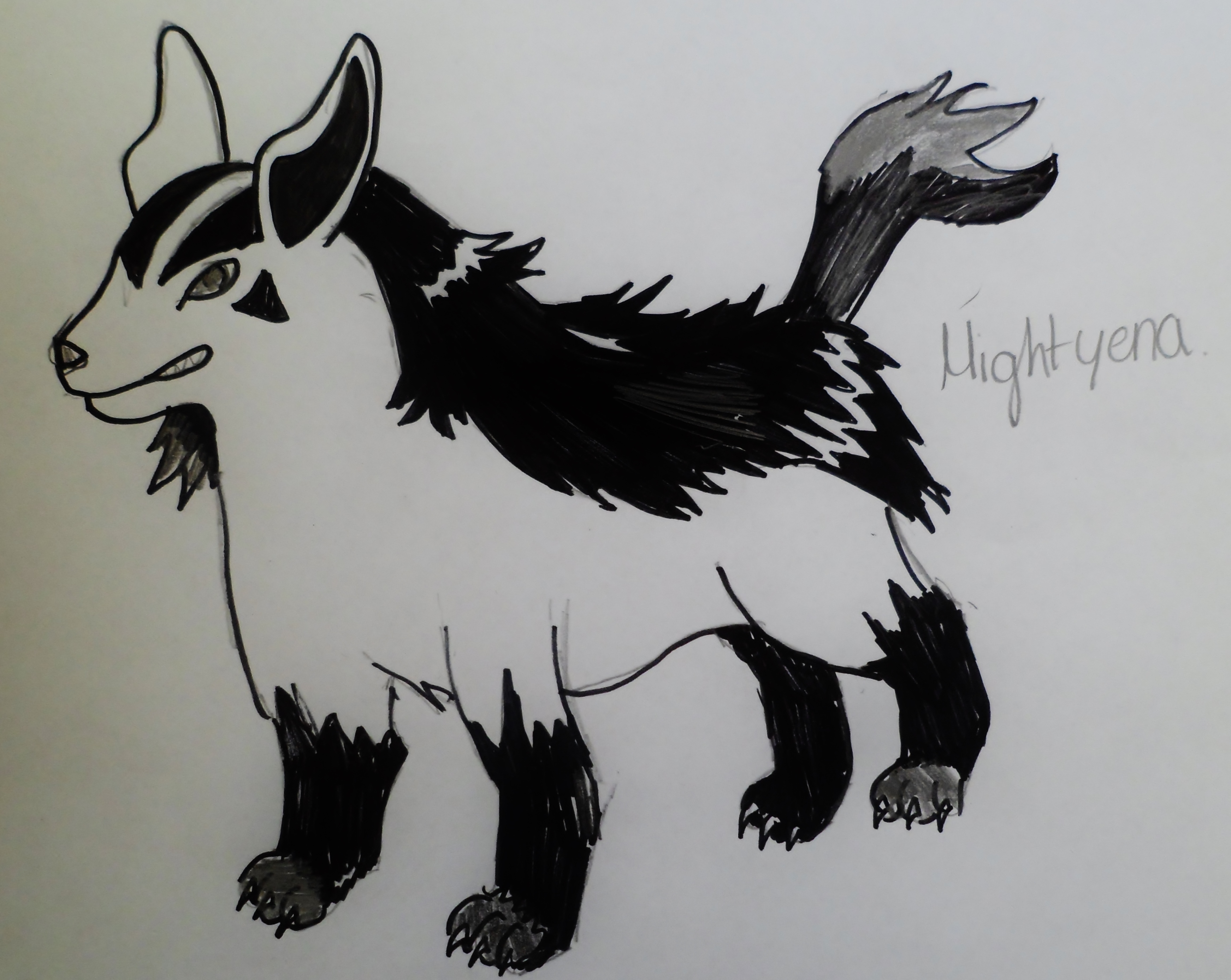 Mightyena Drawing by eeyore1998 - DragoArt
