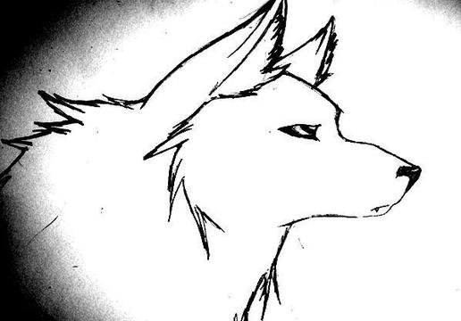 AKILA's Artwork - DragoArt