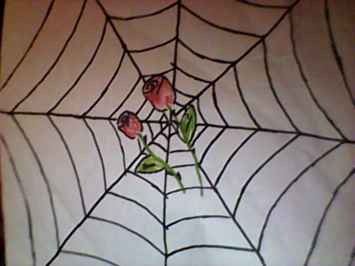 Spiderweb With Roses Drawing by Simonthezombiekitty - DragoArt