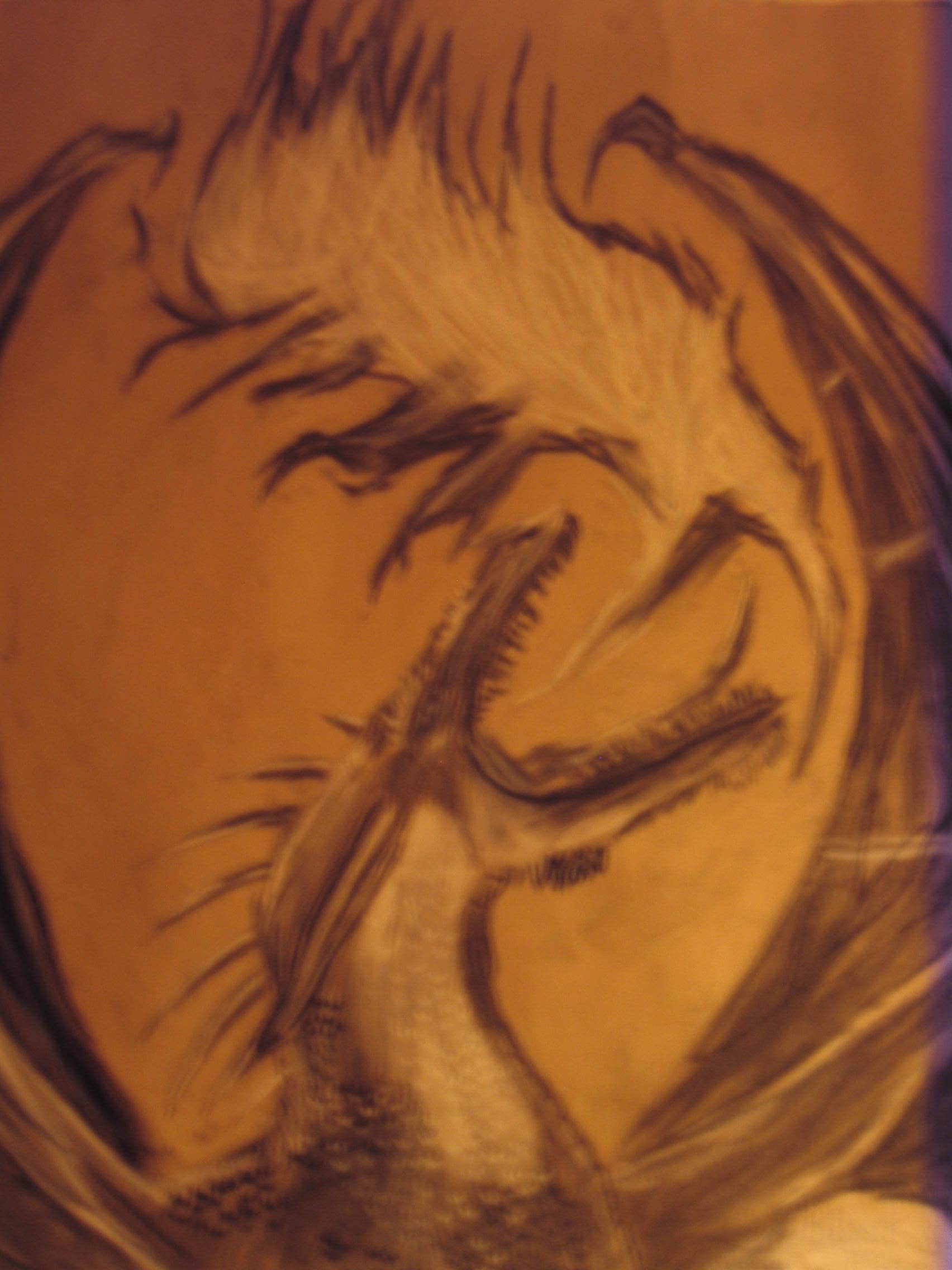 Black Fire Drawing by Skullion13 - DragoArt