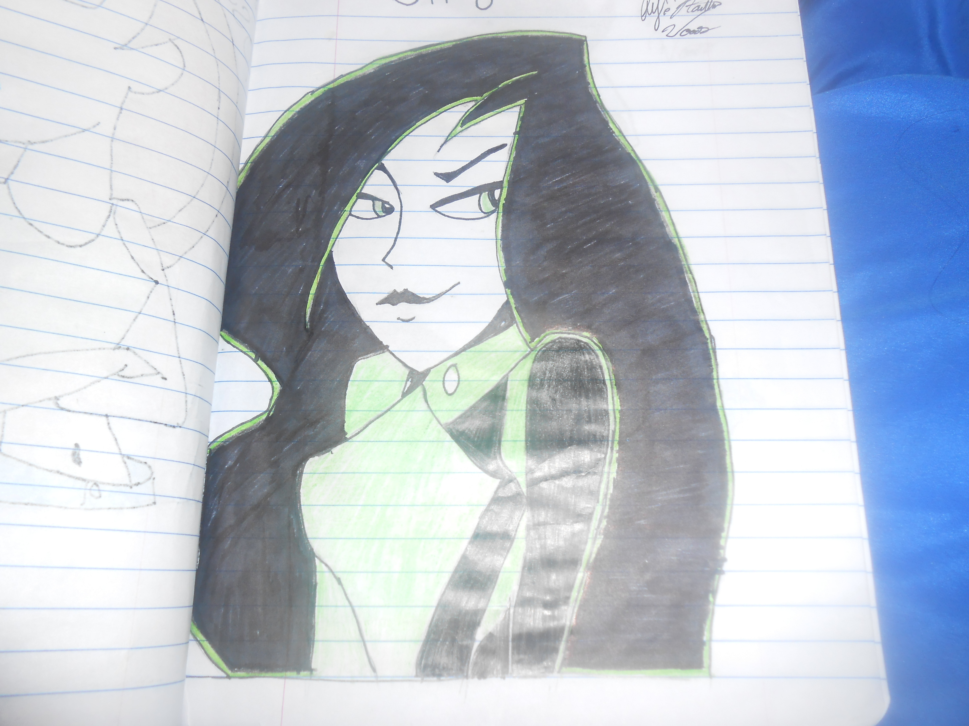 Shego Drawing by kaitlin1 - DragoArt