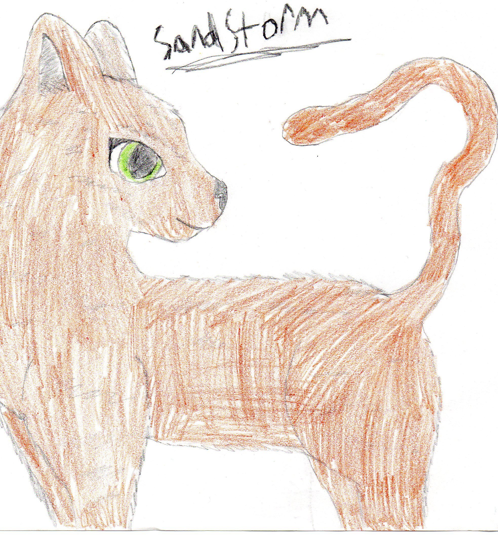 Sandstorm Warrior Cats Drawing by AmazingEiffel - DragoArt