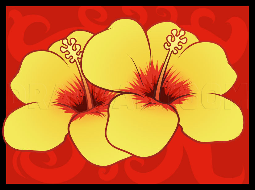How To Draw Hawaiian Flowers Step By Step Drawing Guide By Dawn How To Draw Hawaiian Flowers Step By Step Drawing Guide By Dawn