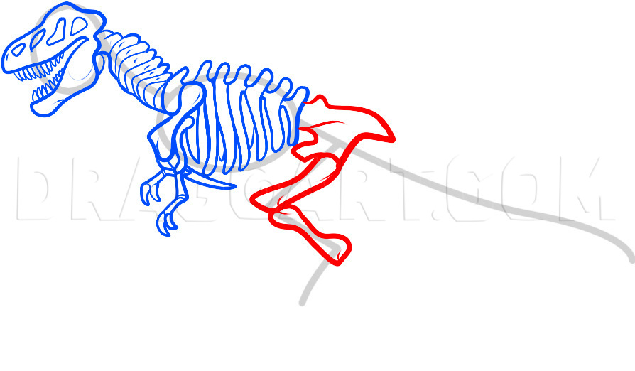 How To Draw A Dinosaur Skeleton Dinosaur Skeleton Step By Step 