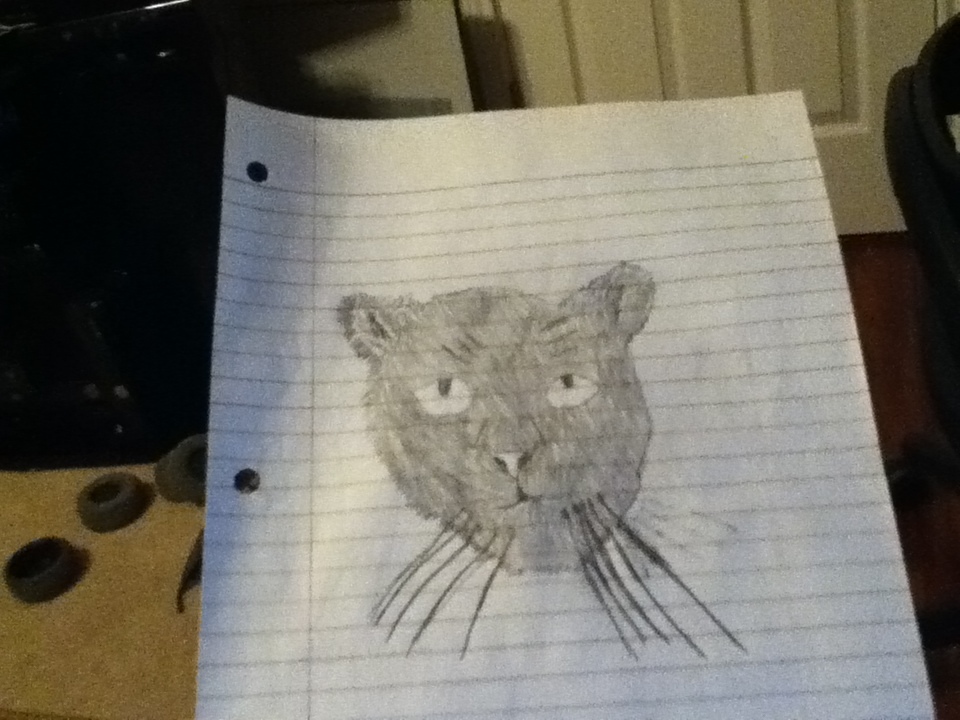 Kitteh Drawing by deathcat119 - DragoArt