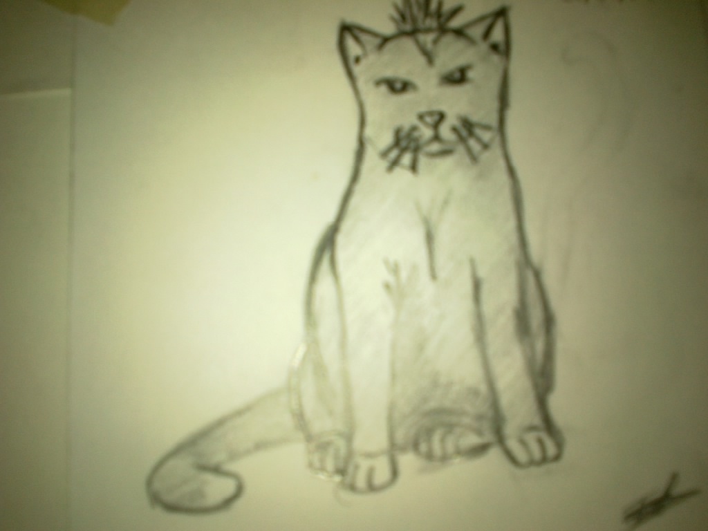 Askar Drawing by akira_gato - DragoArt