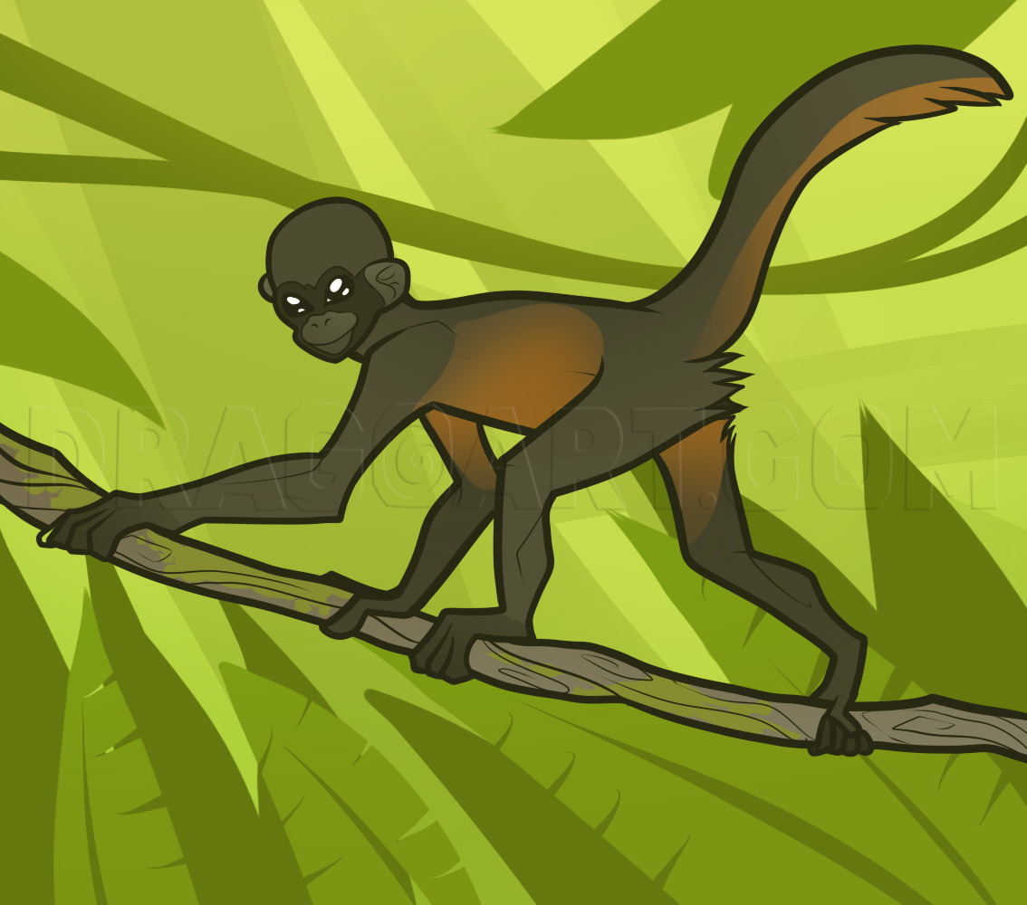 How To Draw A Spider Monkey Spider Monkey Step By Step Drawing Guide