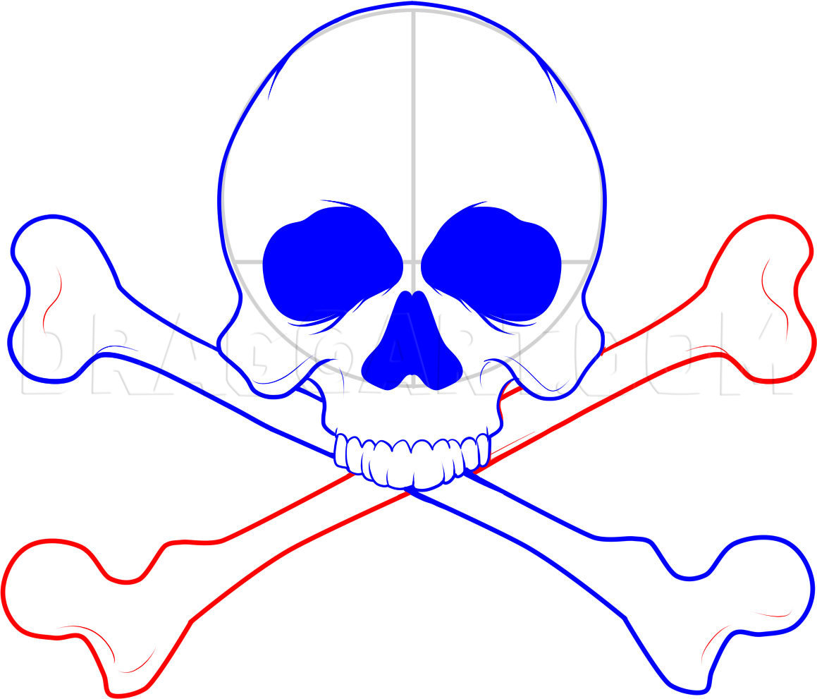 How To Draw A Skull Step By Step Drawing Guide By Dawn DragoArt How To Draw A Skull Step By Step Drawing Guide By Dawn DragoArt