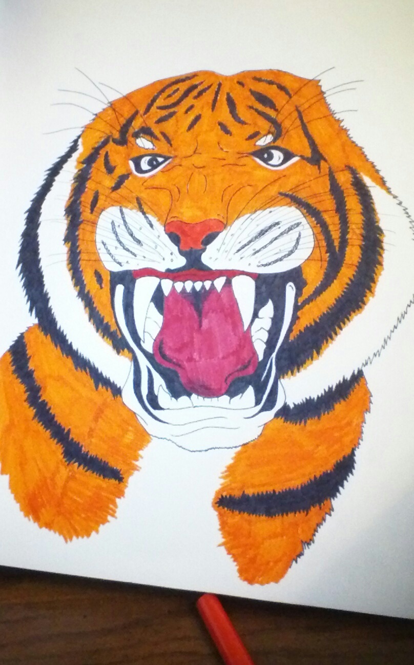 Tiger Drawing by GeekyGirlForLife - DragoArt