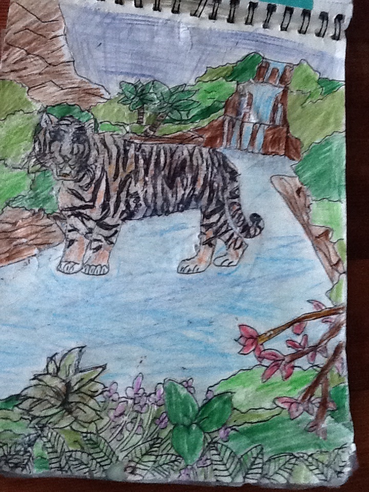 Tiger In The Raainforest Drawing by MikaylaJoBrucoli - DragoArt