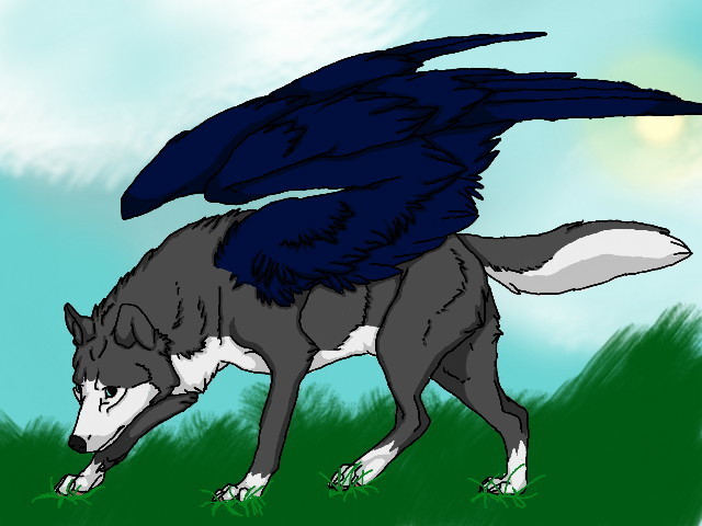 Skye The Flying Wolf Drawing by OkamiSenshi - DragoArt