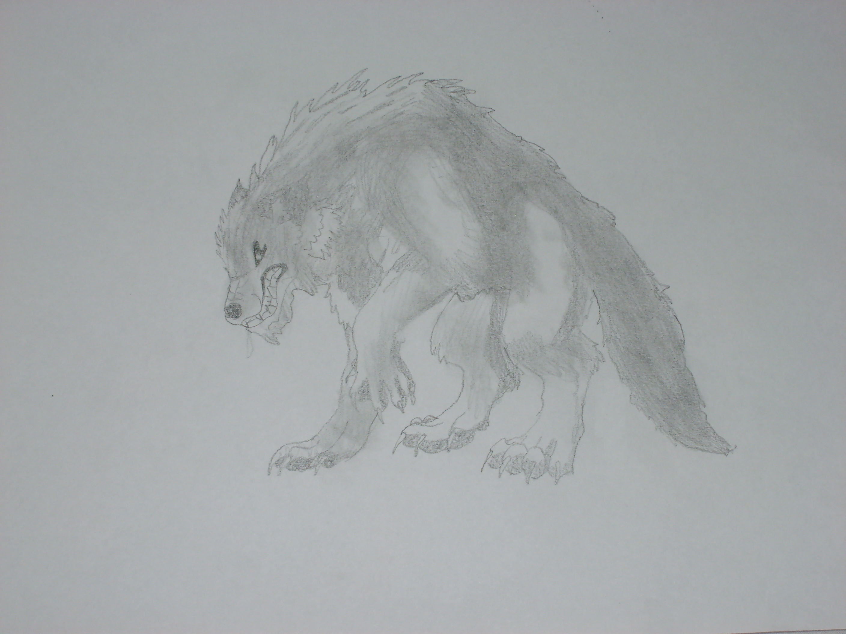 Angry Wolf Drawing by moka2348 - DragoArt