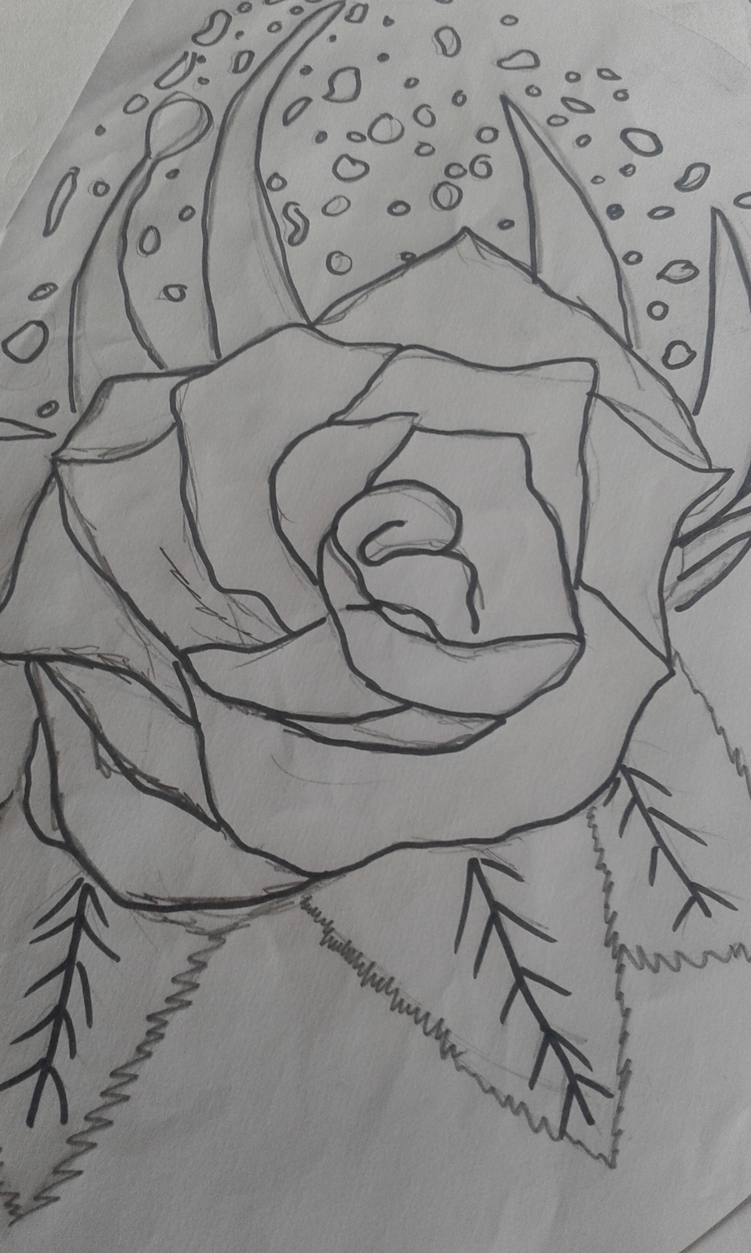 A Random Flower Drawing by Chooka159 - DragoArt