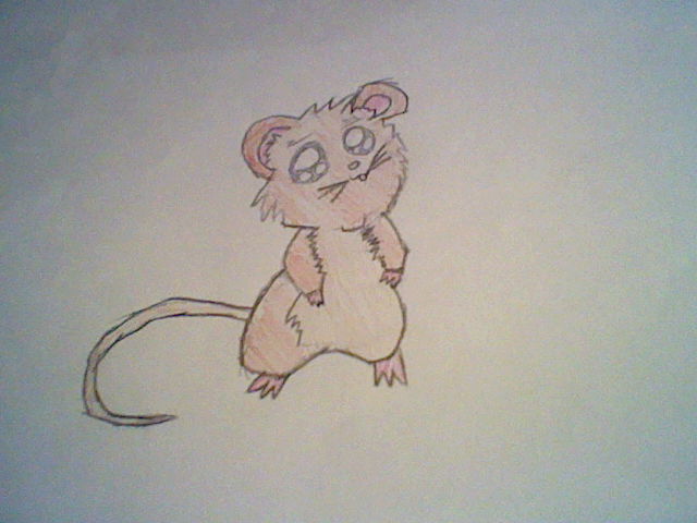 Chibi Mouse Drawing by GekoGuy - DragoArt