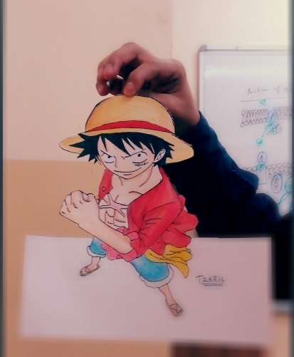 Luffy 3d Drawing by Tzaris - DragoArt